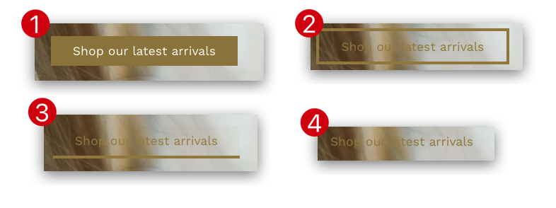Buttons And Inputs 